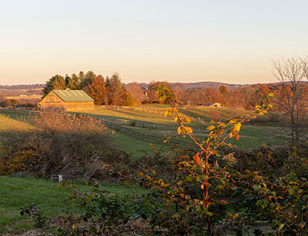 Lexington Park, MD Extended Stay Hotels | Extended Stay America