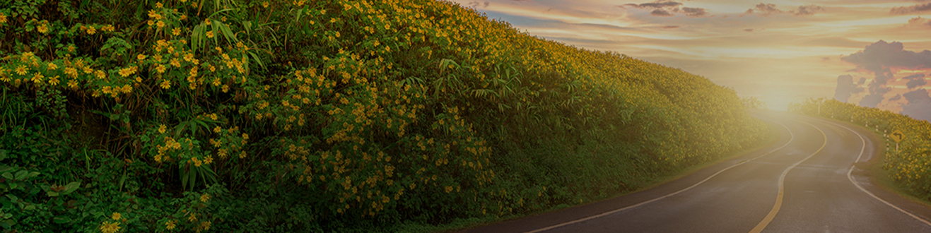 Explore Our Nationwide Locations | Extended Stay America